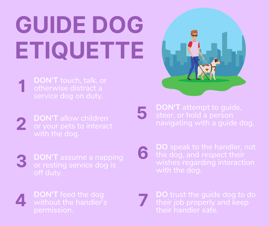 Guide Dog Etiquette Rules! | LCS Racine